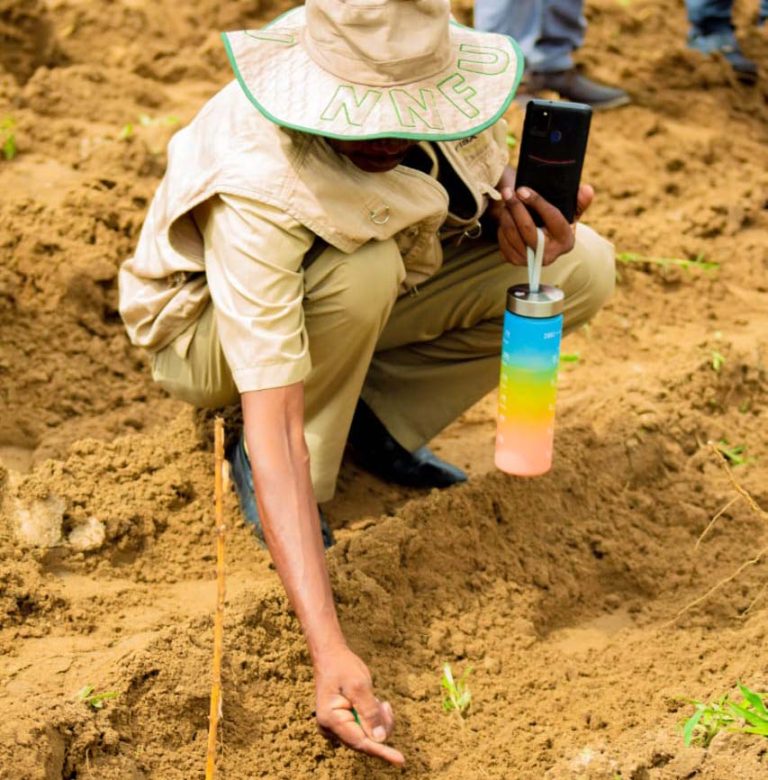 Farmers’ Organizations for the Africa, Caribbean, and Pacific Countries ...